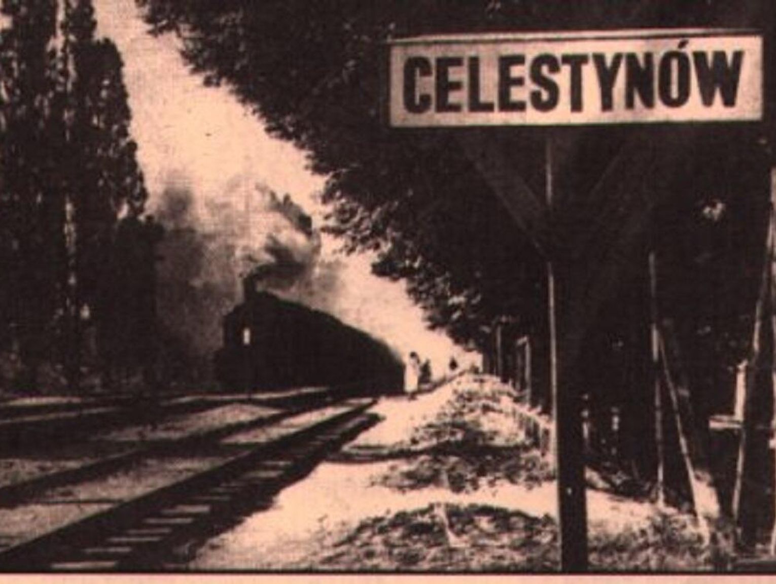Akcja pod Celestynowem