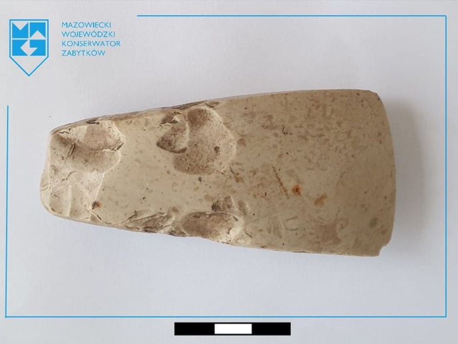 Sensacyjne odkrycie w Józefowie