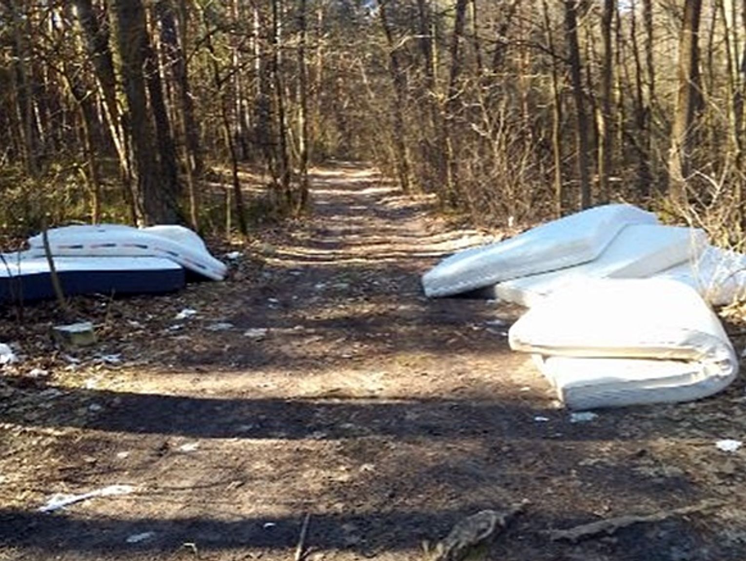 Sterta starych materacy w lesie